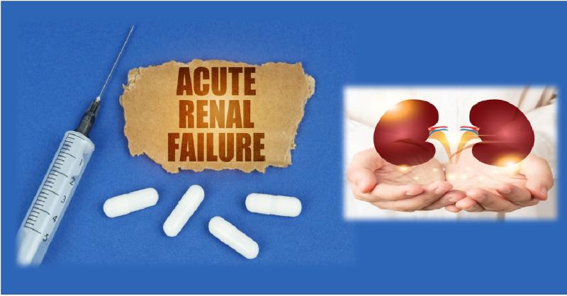 Acute Kidney Injury, Mechanism, Assessment, and Treatment: A Summary ...