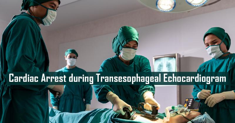 A Case of Acute Right Ventricular Failure During Transesophageal ...