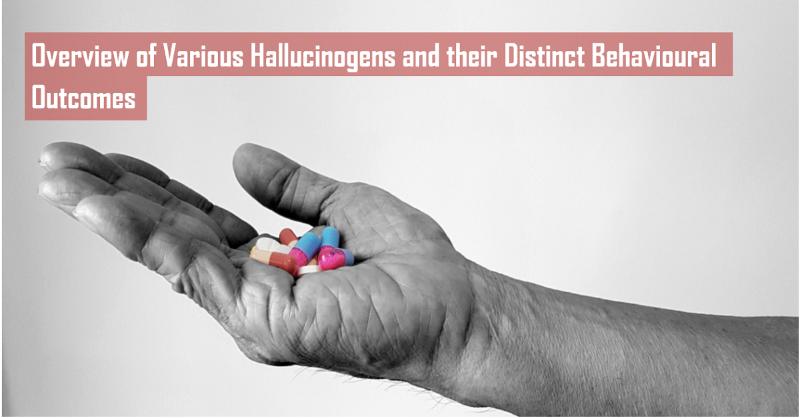 Impact of Hallucinogens on Psychiatric Disorders | MedSynapse