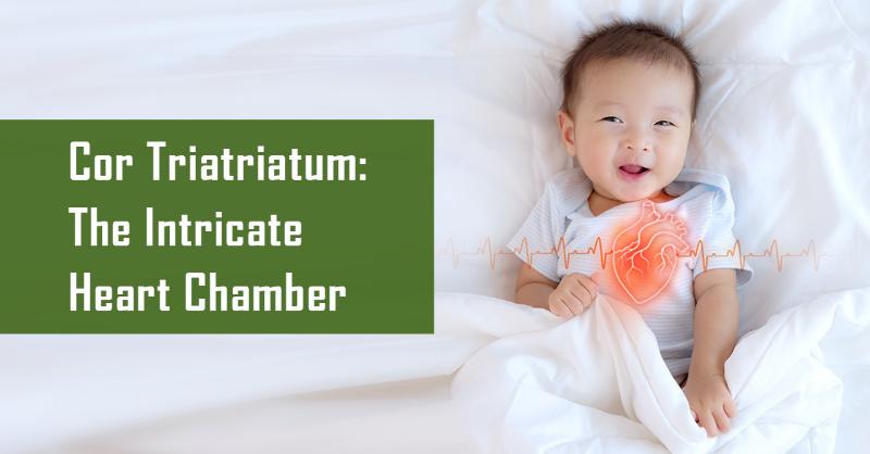 An In-Depth Exploration of Cor Triatriatum and Its Implications in ...